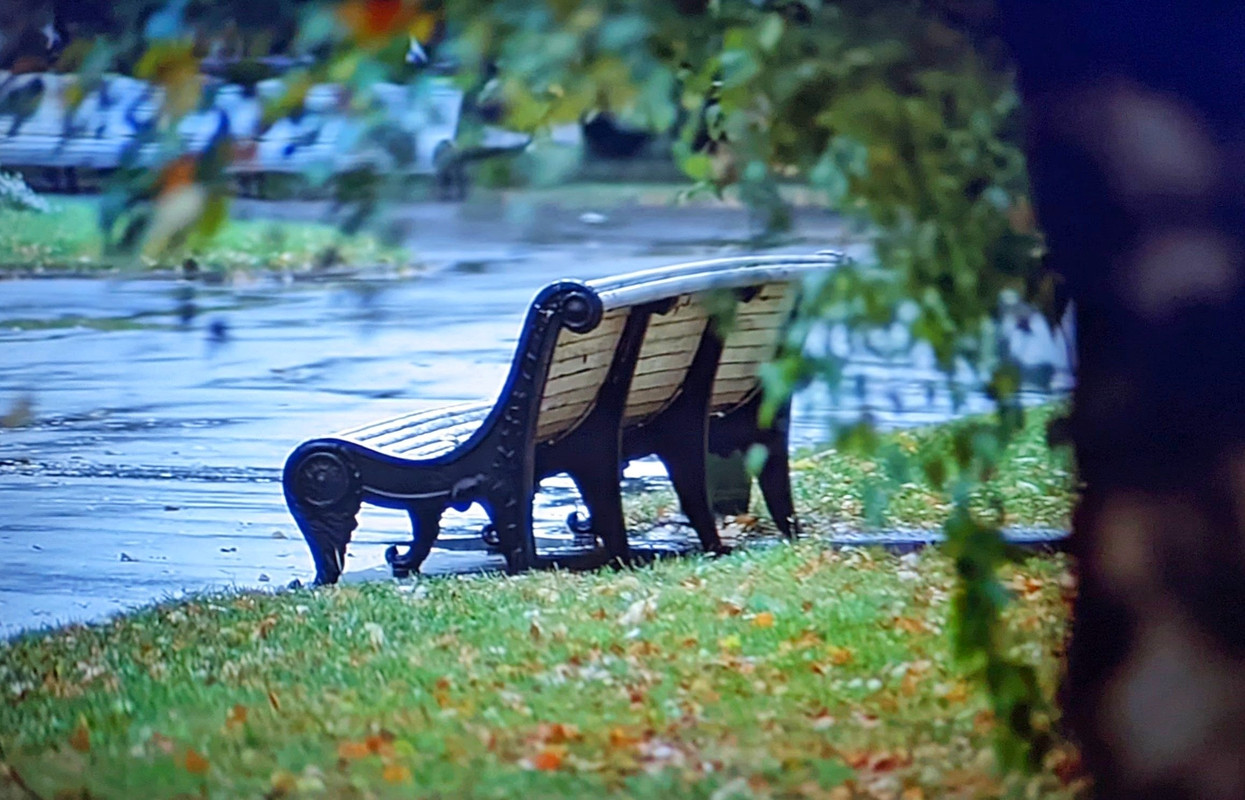 Bench in a park — Postimages