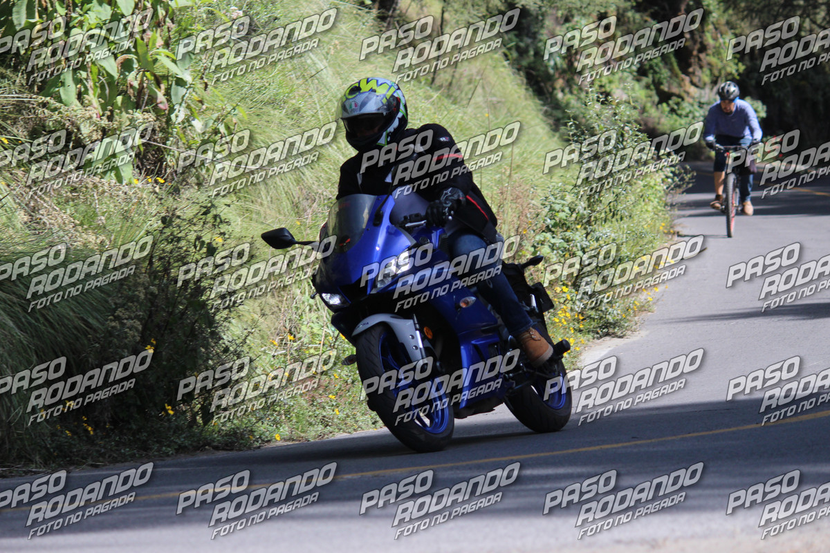 IMG 8288 — Postimages