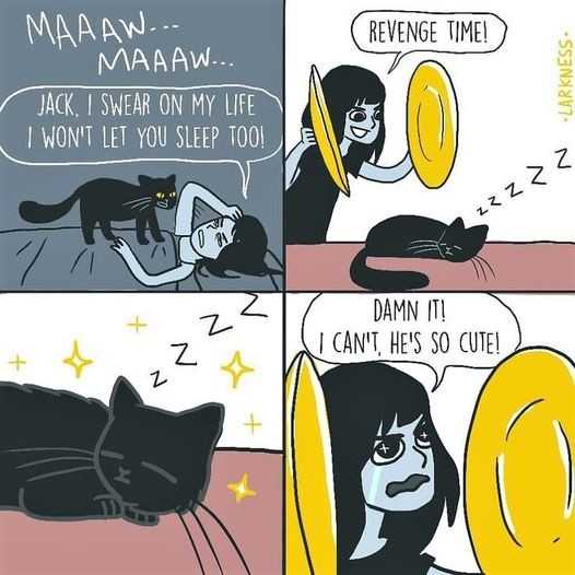 ΓΑΤΕΣ. Ἄκου ἐκεῖ νἄχουν νῆμα γιὰ σκύλους καὶ ὄχι γιὰ γάτες!... - Σελίδα 51 - Phorum