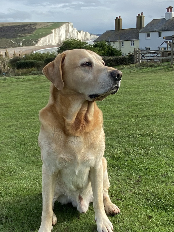 IMG 2492 — Postimages