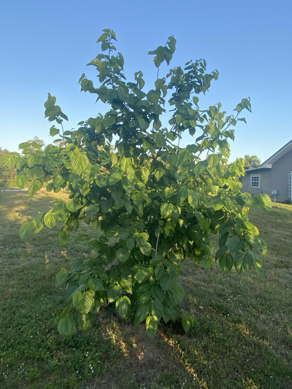 FM 3 24 — Postimages