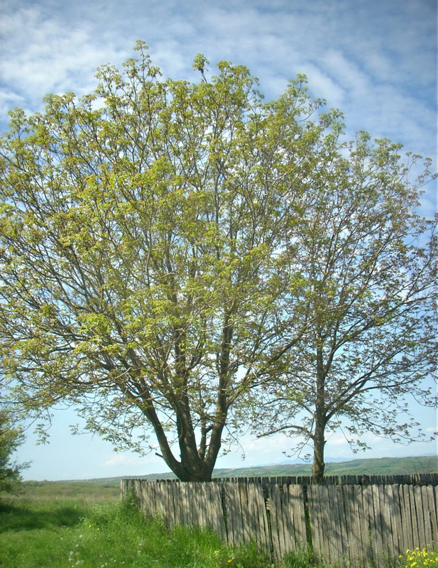 1 278 — Postimages