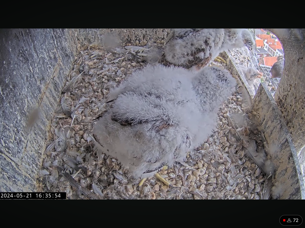 IMG 1064 — Postimages