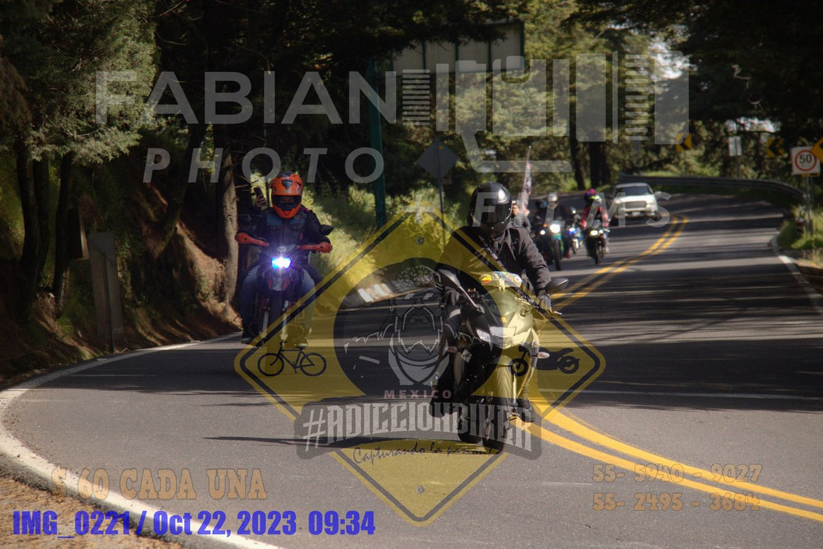 IMG 0221 — Postimages