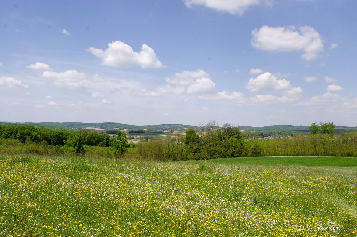 DSC 0173 — Postimages