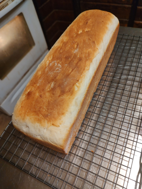 Fini buttermilk 4 Nov24 top — Postimages