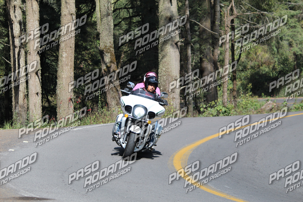 IMG 3436 wm 10076501 9 watermarked — Postimages