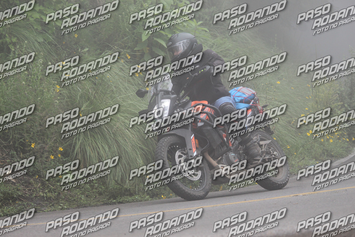 IMG 2021 — Postimages