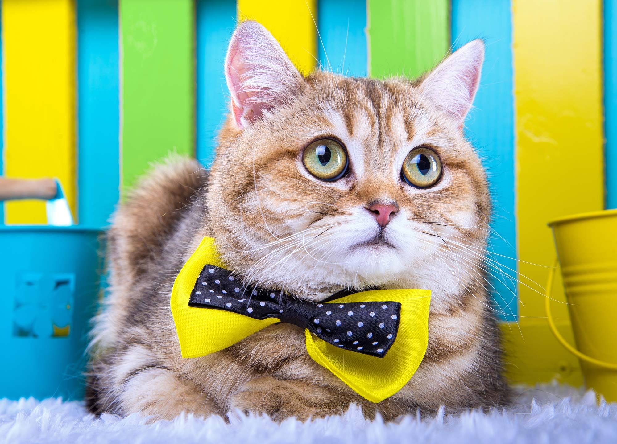 image 0 — Postimages