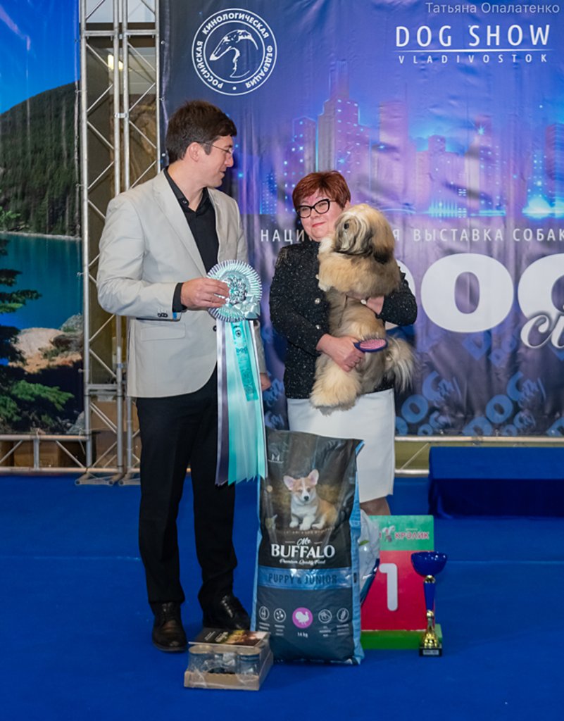 DSC 5326 — Postimages