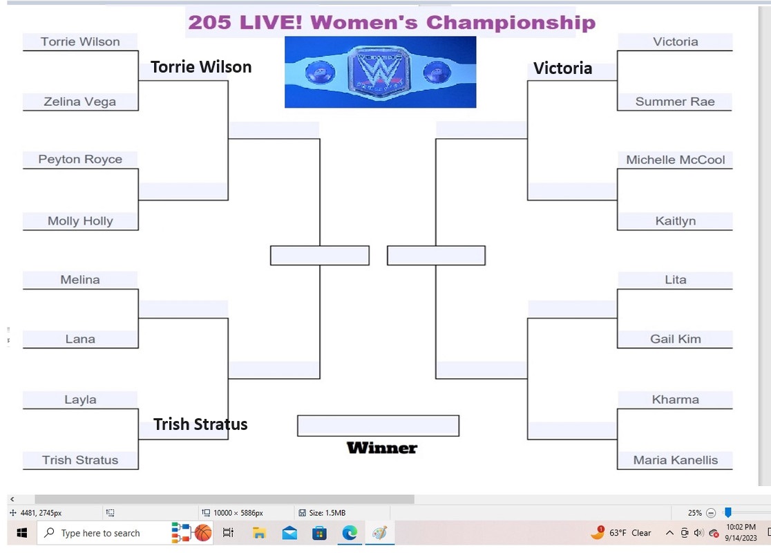 205 Bracket — Postimages