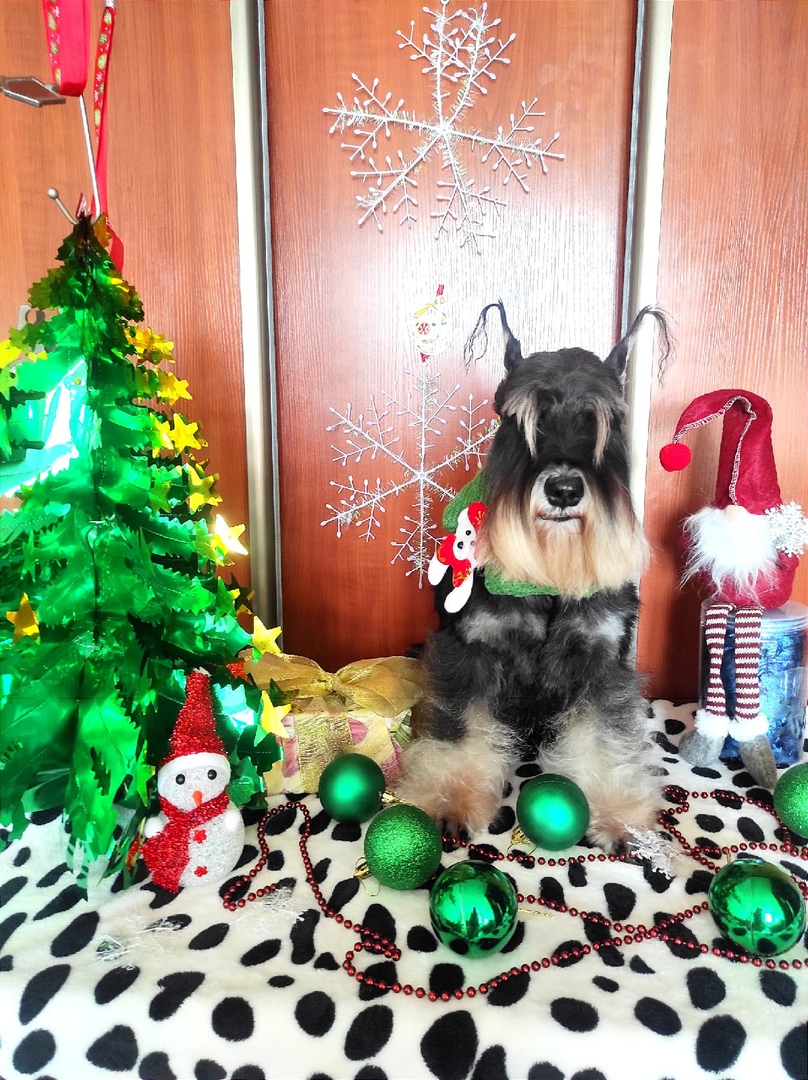 Vc53 Mgdz Hf A — Postimages