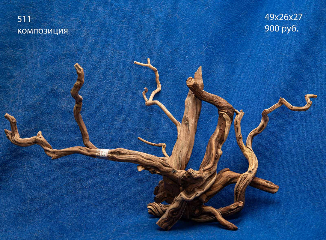 IMG 3756 — Postimages