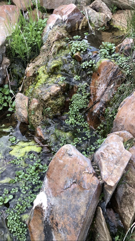 13 A0201 D DF87 4 DAD AE4 F 00447 F7 EDE90 — Postimages