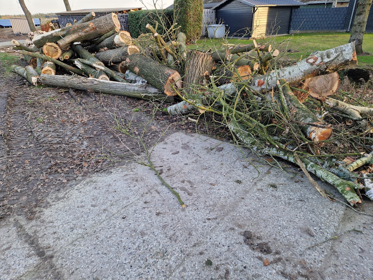 Dringt de vorst door in de stal? Bij matige vorst en krachtige wind wel