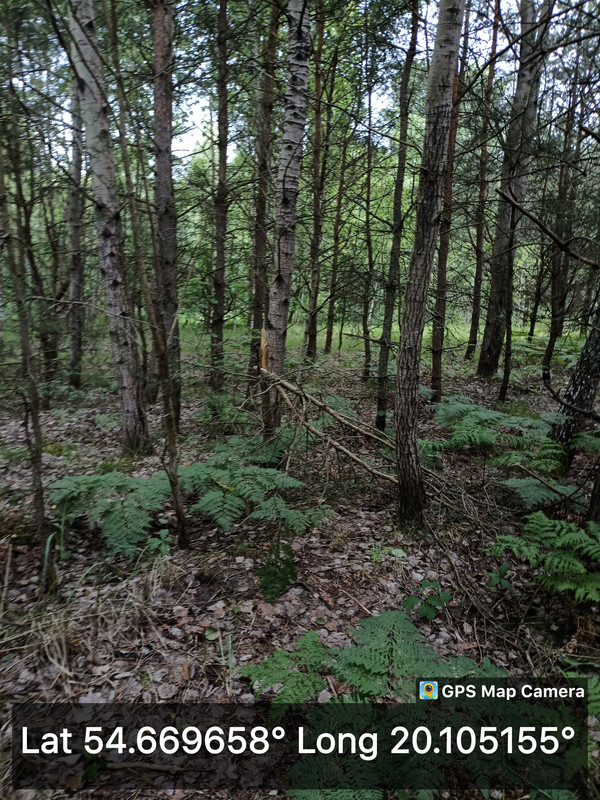 20230704 125929 PM By GPSMap Camera — Postimages