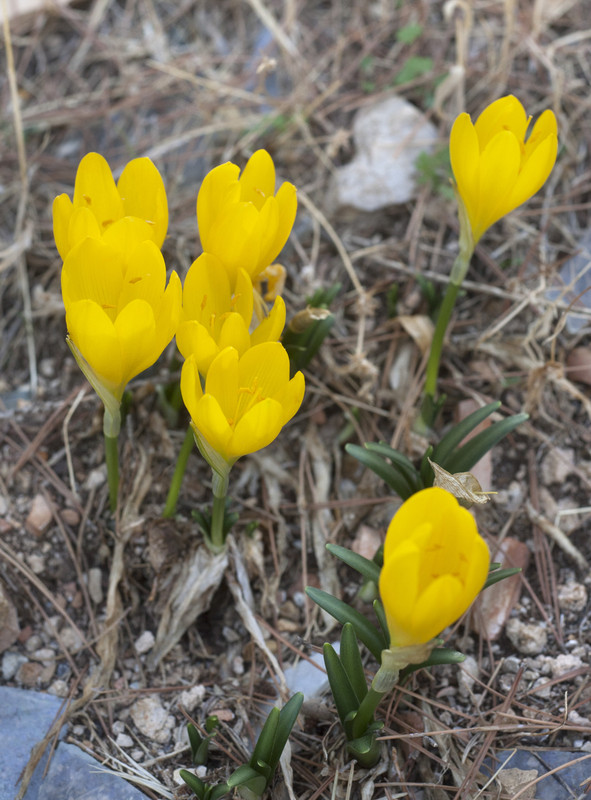 MG 1659 FORO — Postimages