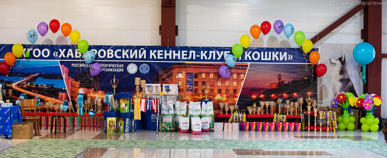 DSC 7587 — Postimages