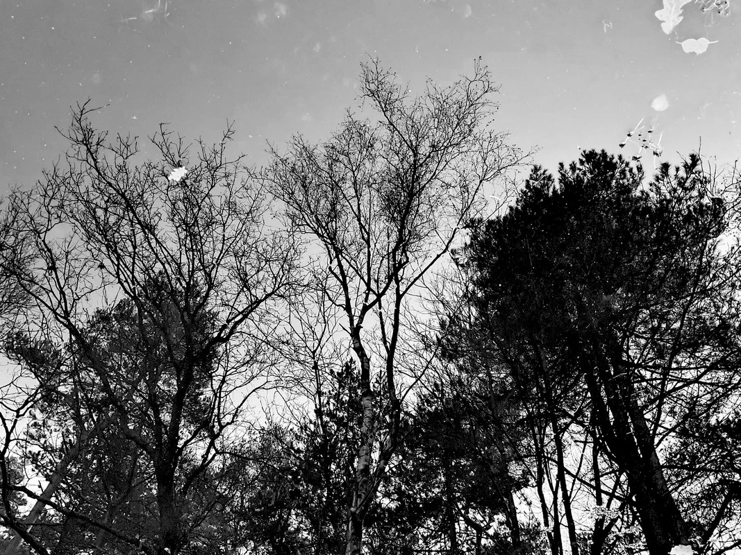 795 B3712 83 C7 47 Af B4 Bd 70356440 Fdcf — Postimages