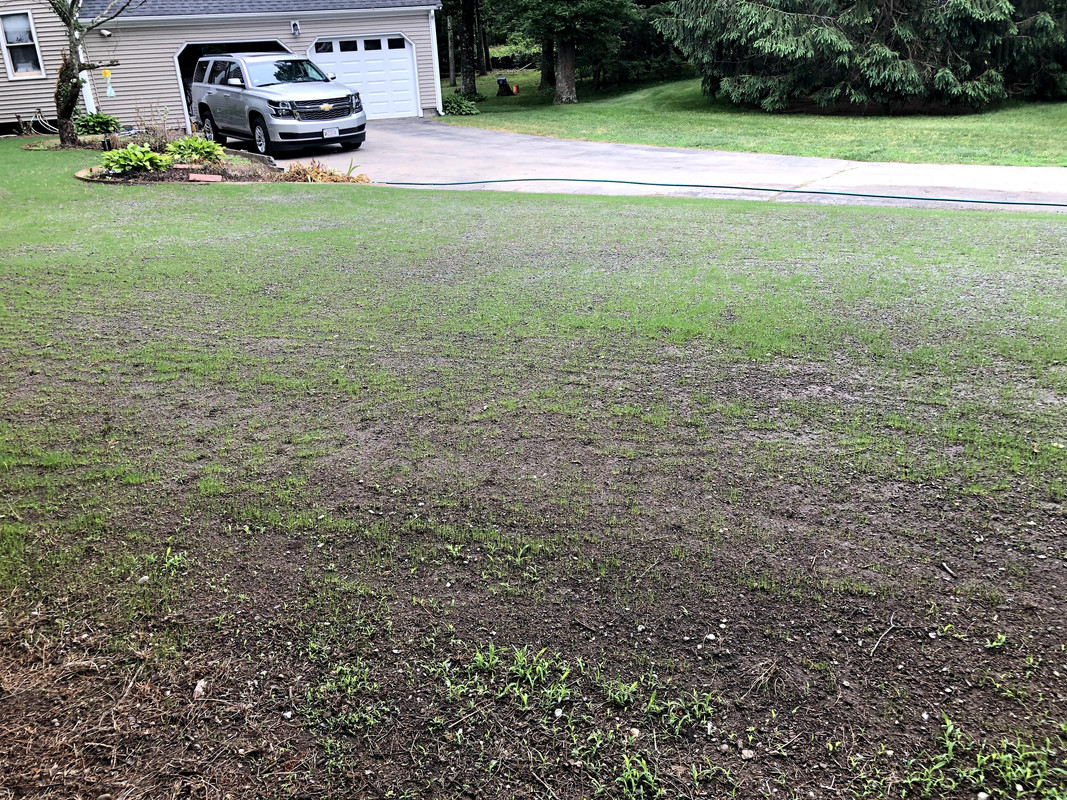 IMG 4615 — Postimages