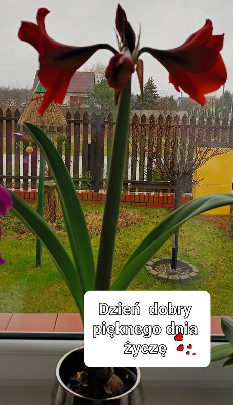 20240311 090313 — Postimages