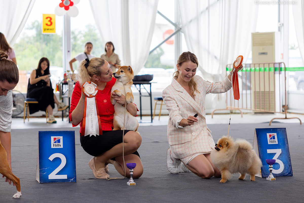 IMG 6612 — Postimages