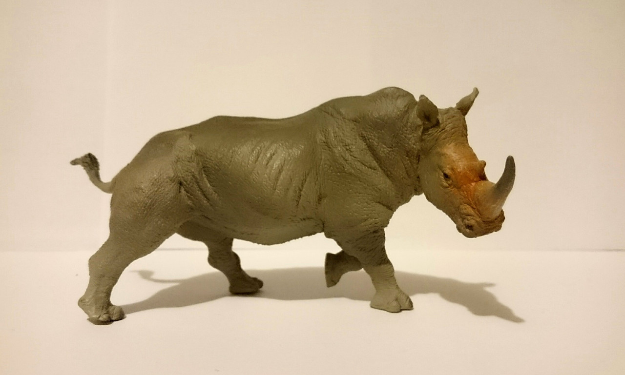PNSO Rhinos