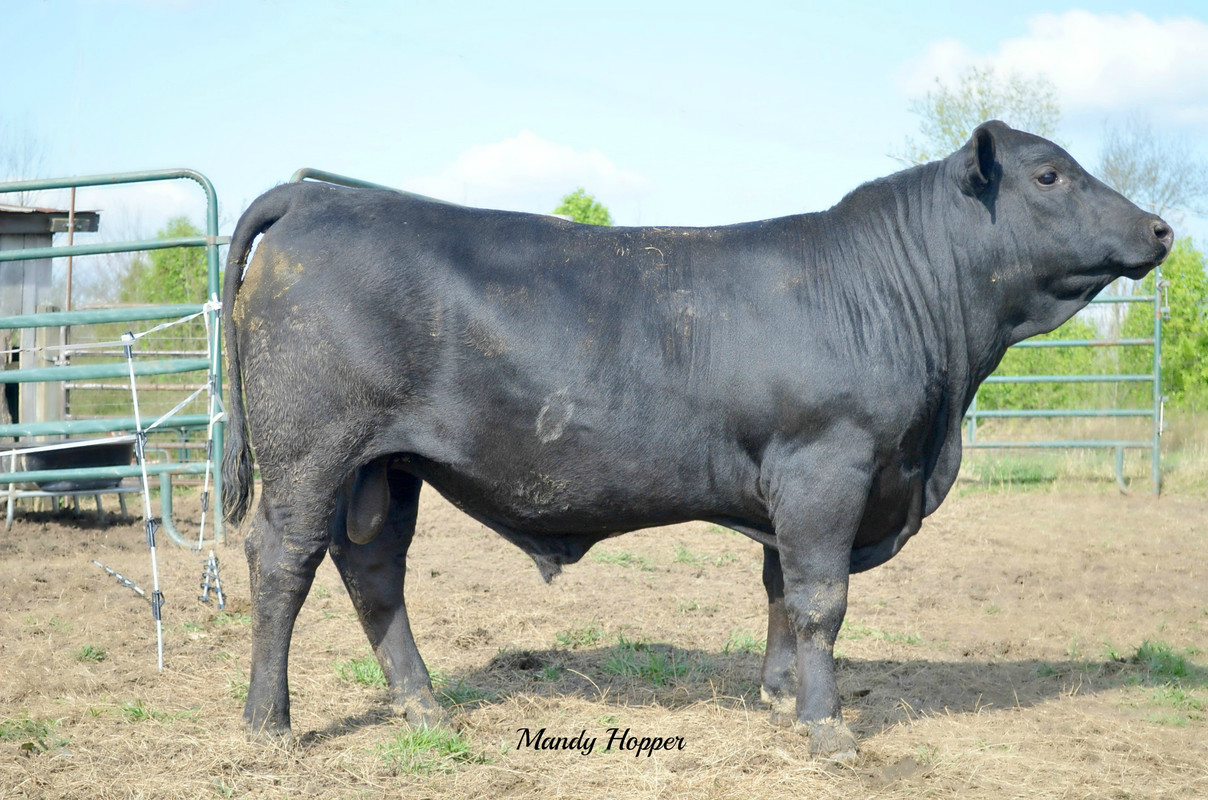 782 C534 F 262 F 4067 B524 F75 A3 FDE4570 — Postimages