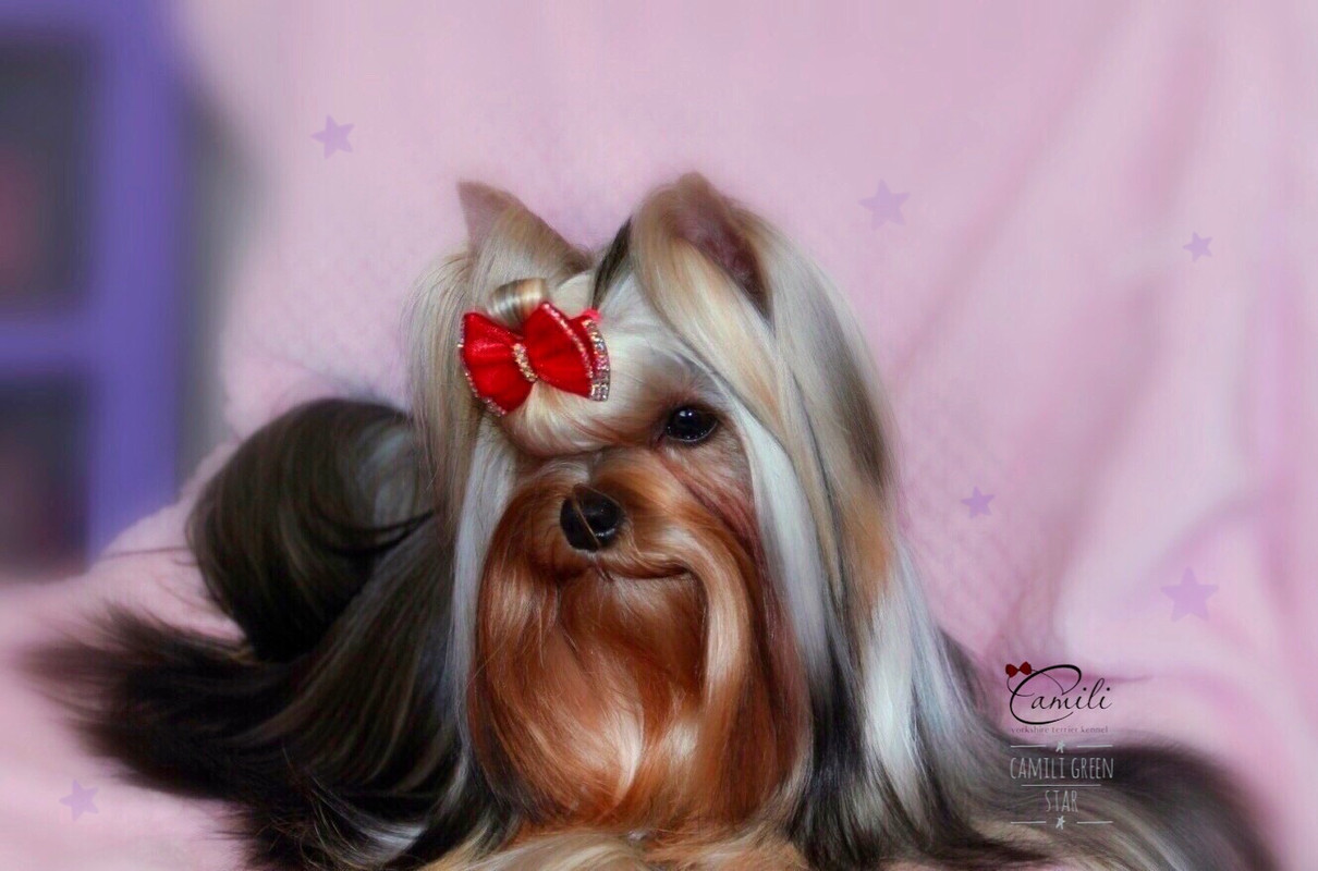 95 D5 FA2 F 1 ECA 416 E BFFB 3152 CEDD3 FFE — Postimages