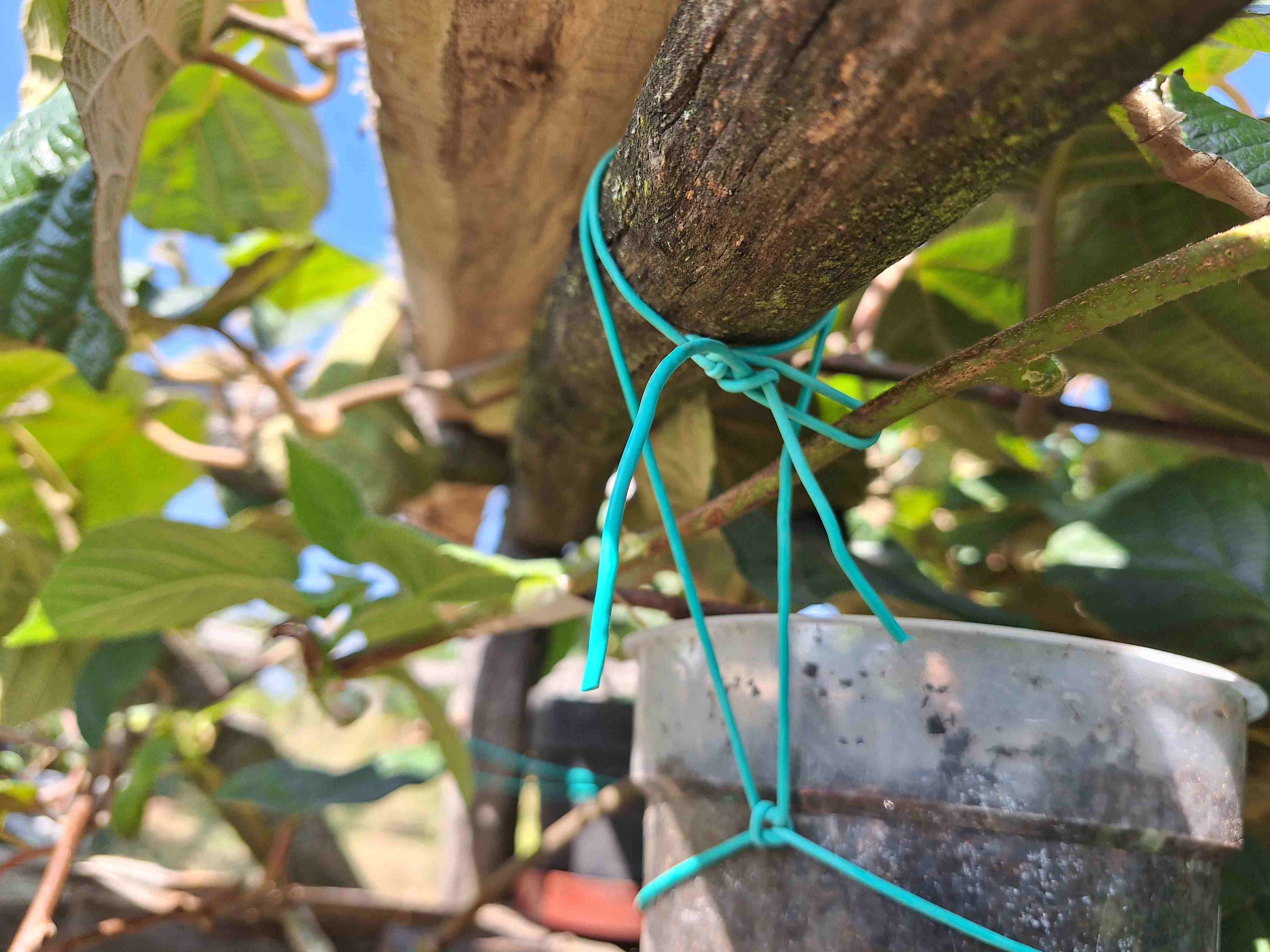 a fixace 20240824 — Postimages