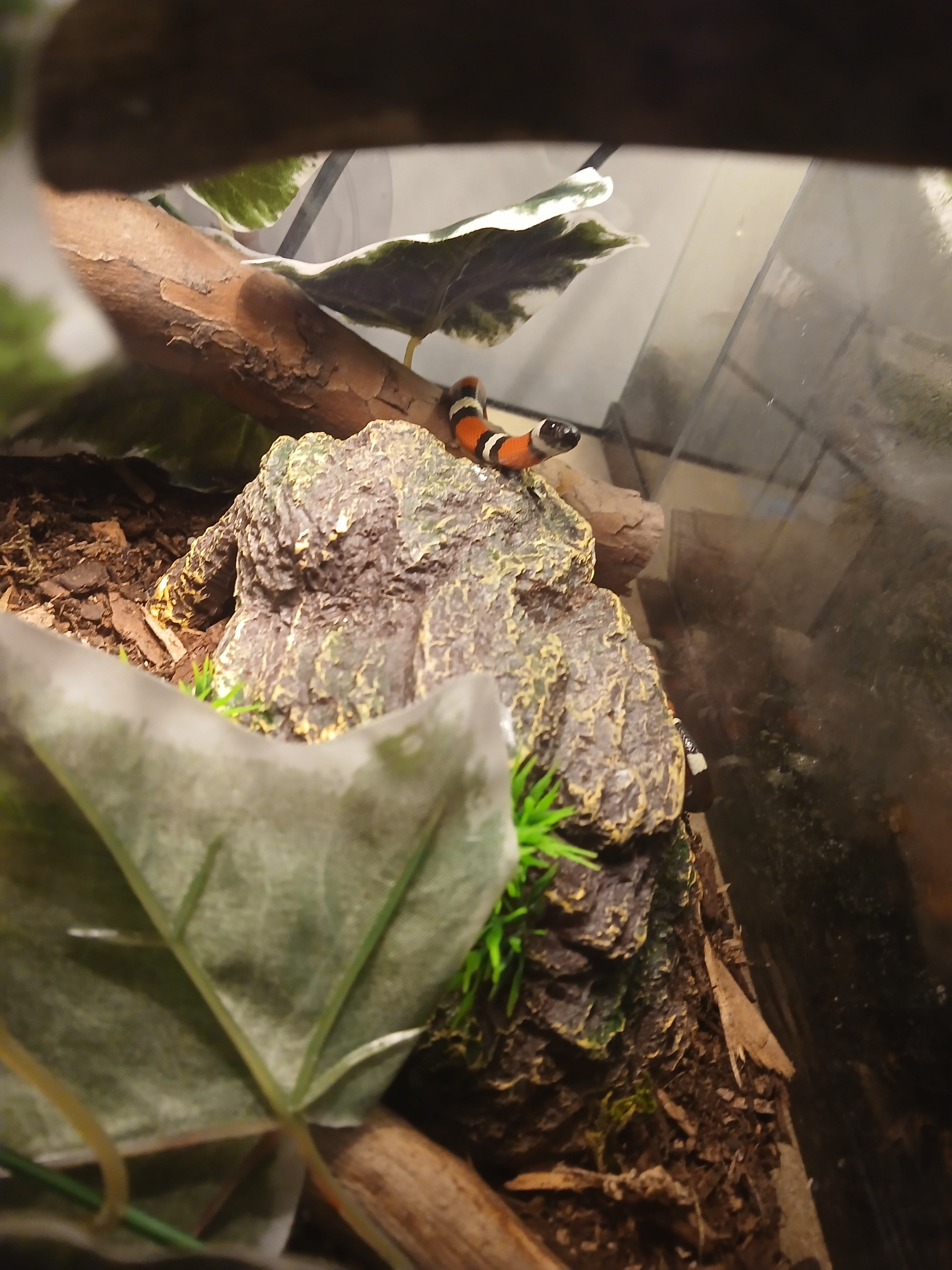 20250524 185845 — Postimages