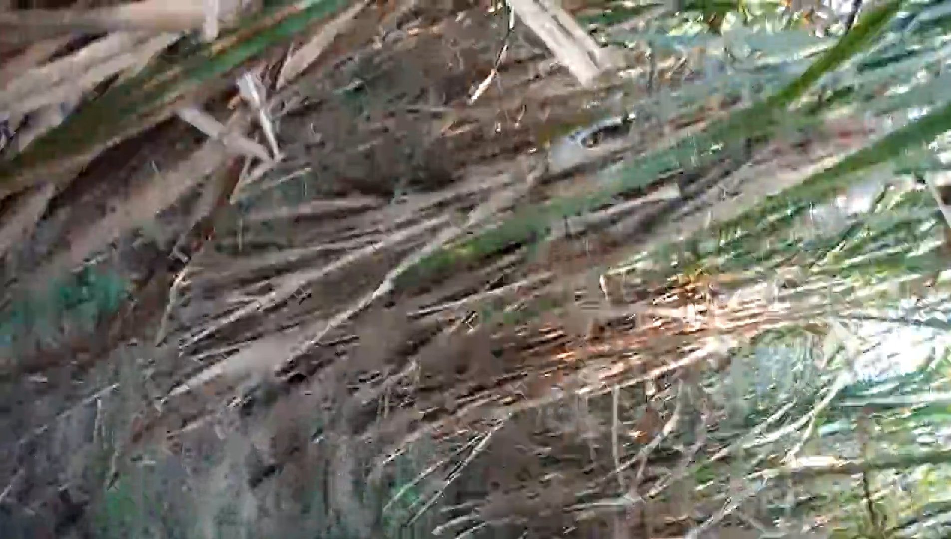 screenshot 2021 07 15 10 02 37 — Postimages