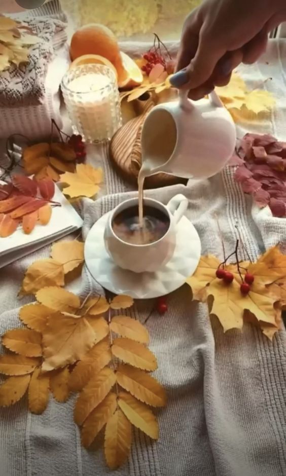 7d08b0176b31b7ebc34c734ba353a1cb — Postimages