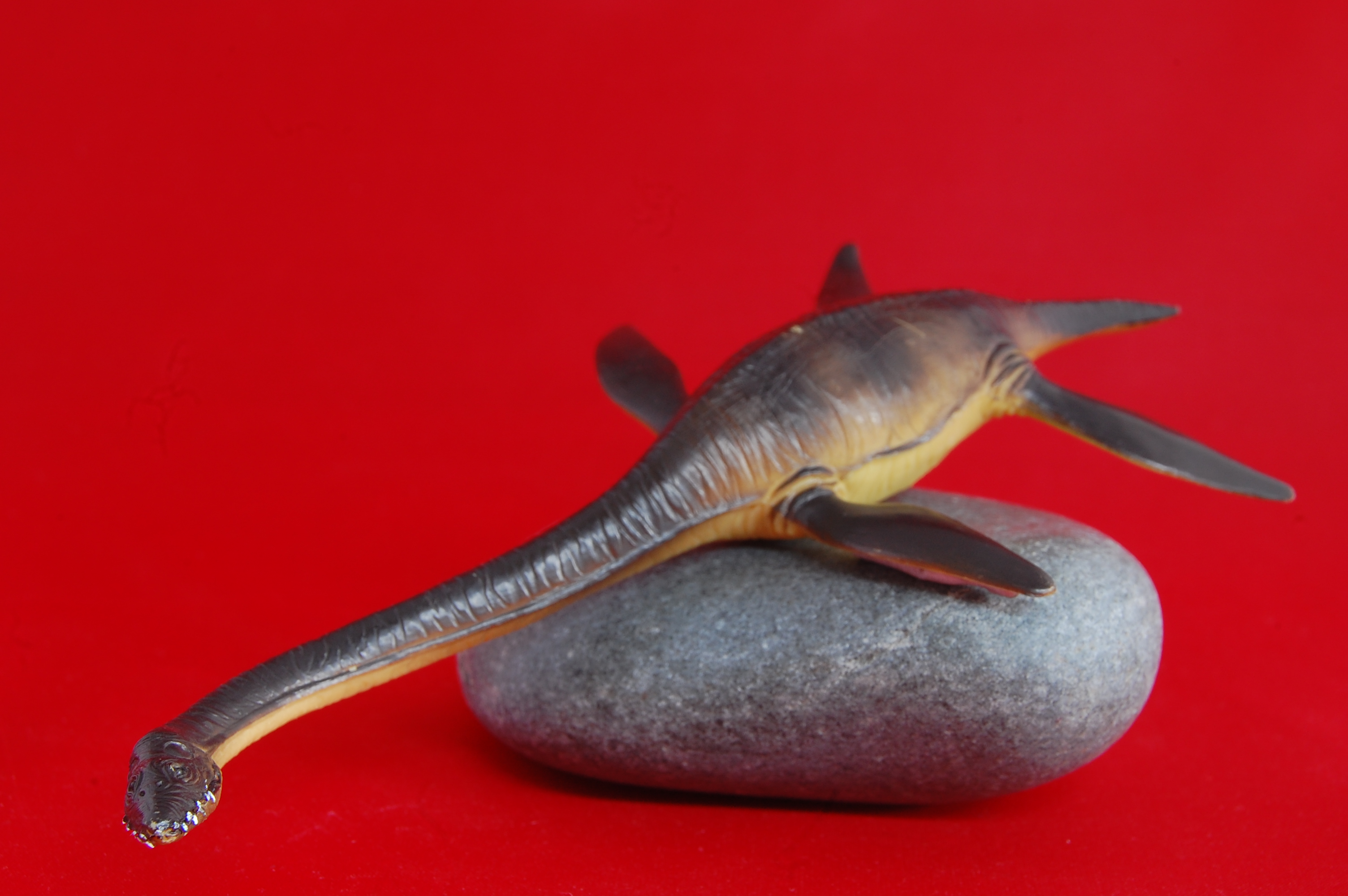 Favorite Dinosaur Soft Model Set C Plesiosaurus — Postimages