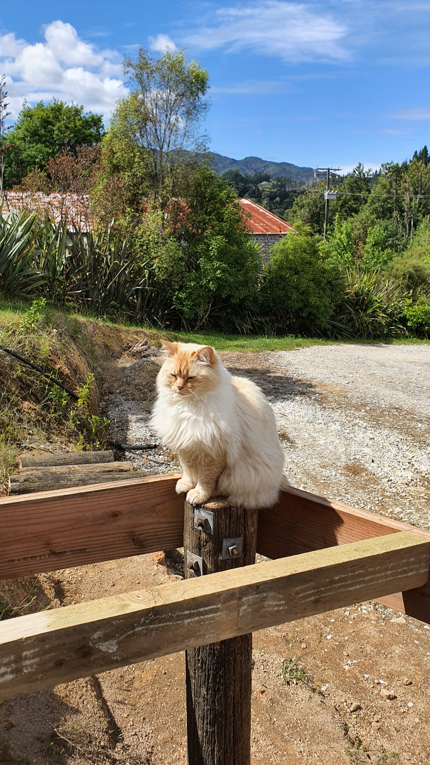 20221222 160509 ( Custom) — Postimages