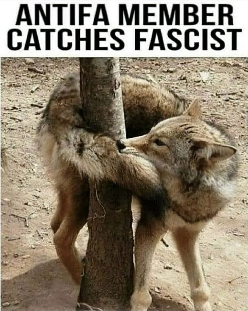 IMG 9523 — Postimages