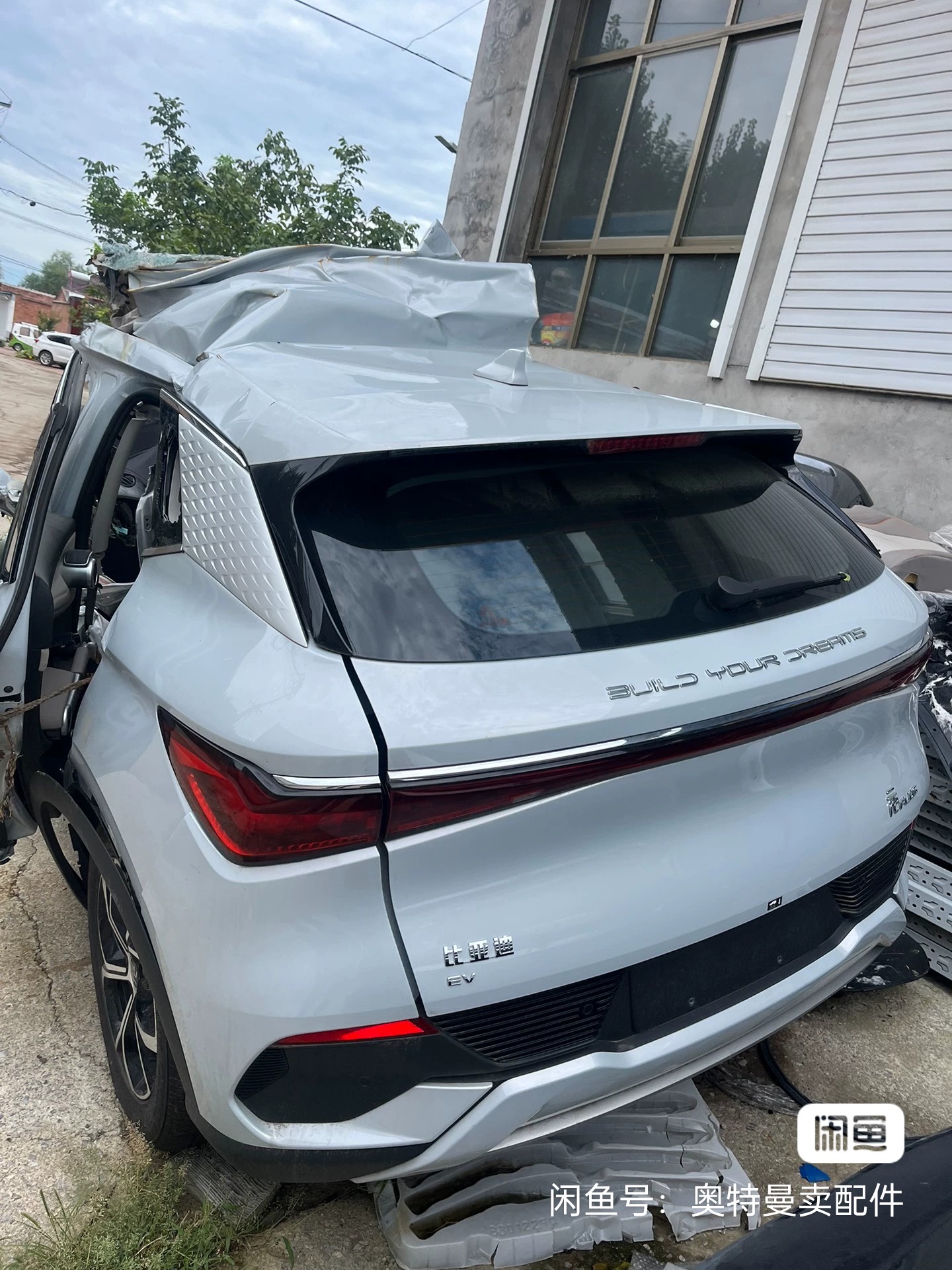 image editor 1729425869913 — Postimages