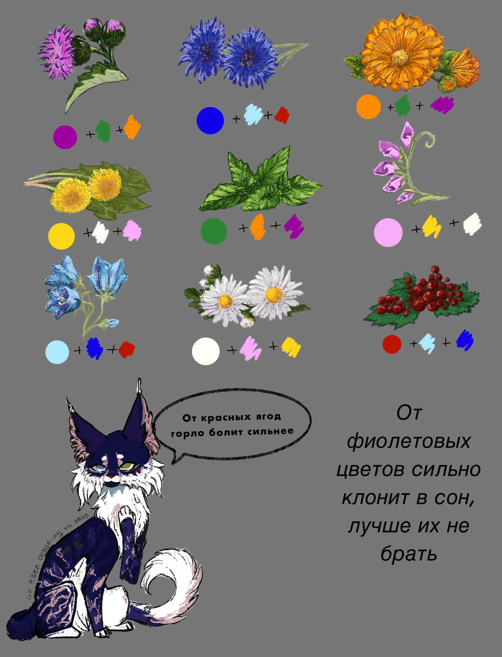 IMG 0116 — Postimages