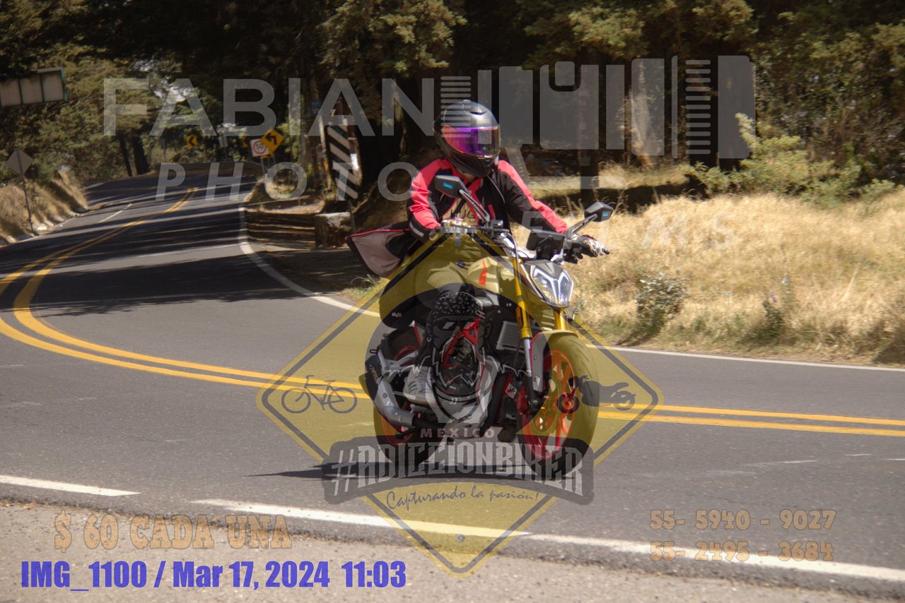 IMG 1100 — Postimages