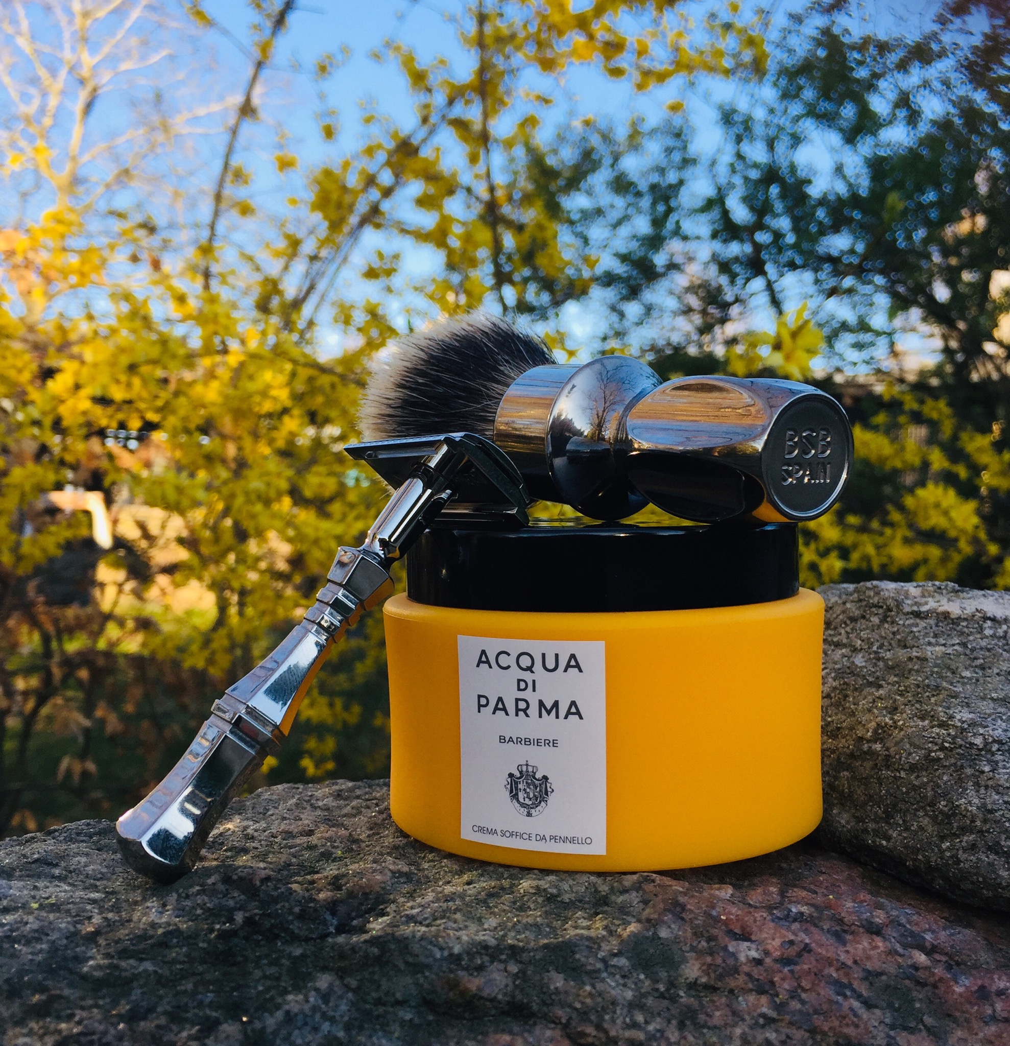 SOTD 20290421 — Postimages