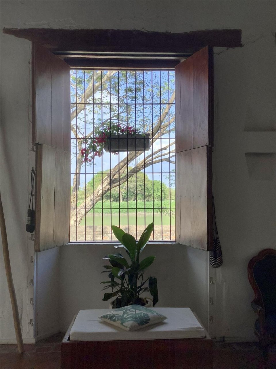 IMG 0356 — Postimages