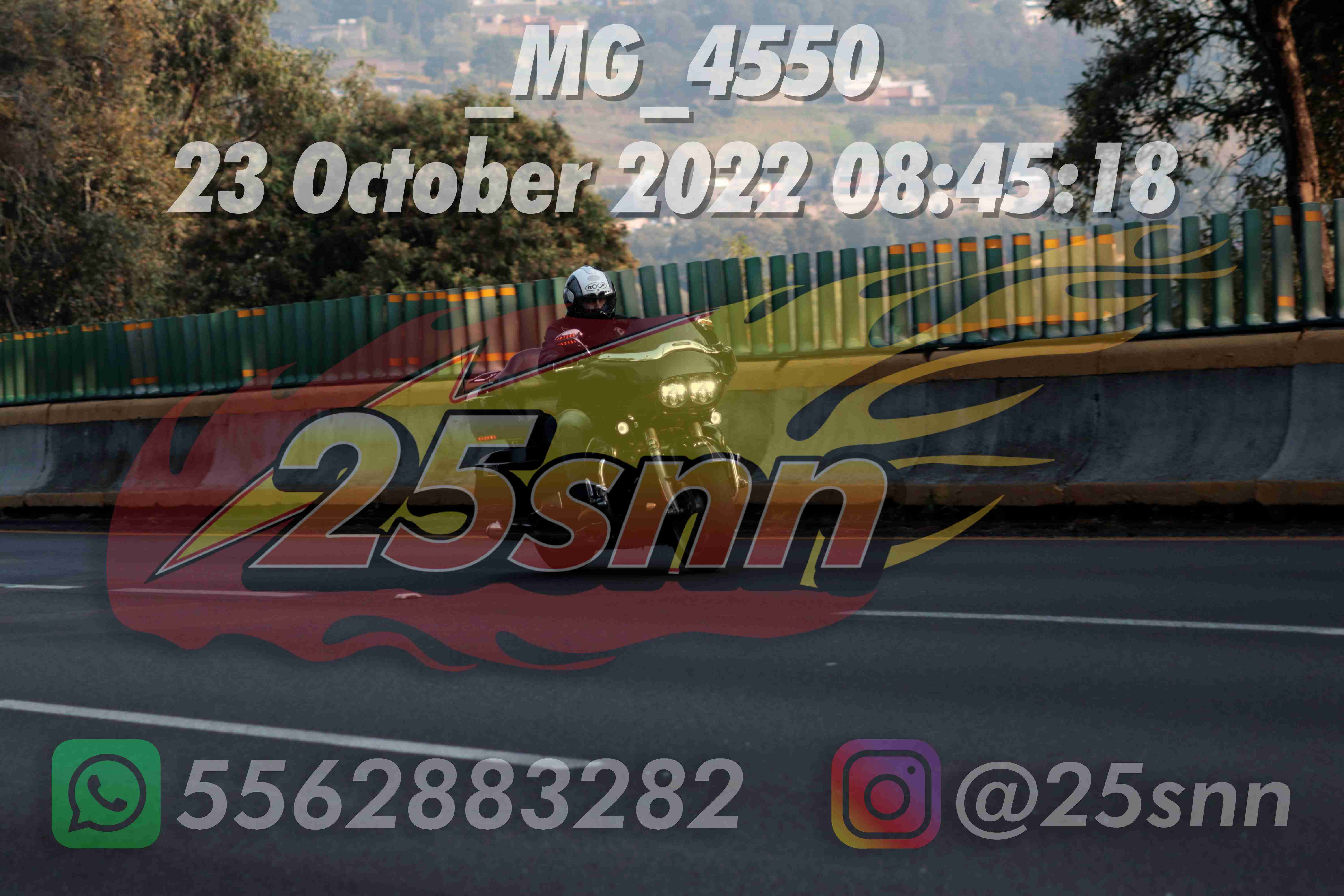 MG 4550 — Postimages