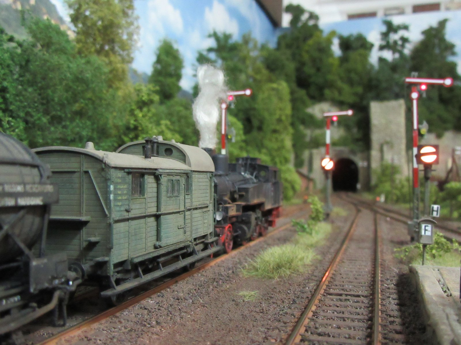 IMG 1329 — Postimages