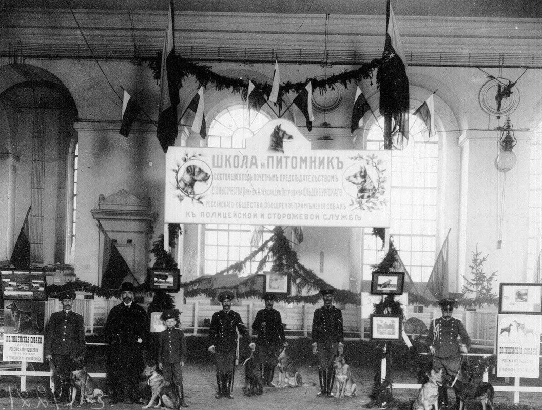 photo 2023 10 15 19 34 30 — Postimages