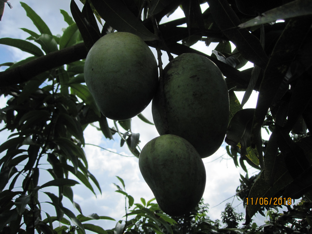 IMG 1192 — Postimages