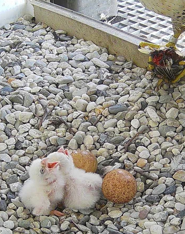 D20 C082 B B940 4347 89 EB F42 FDB3 A2 F57 — Postimages