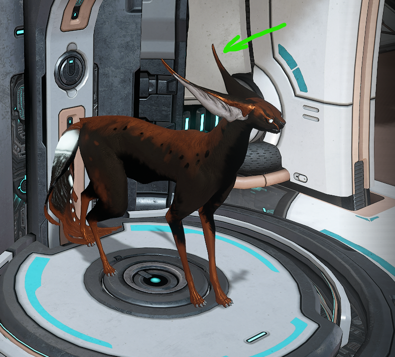 kavat texture bugs - Art & Animation - Warframe Forums
