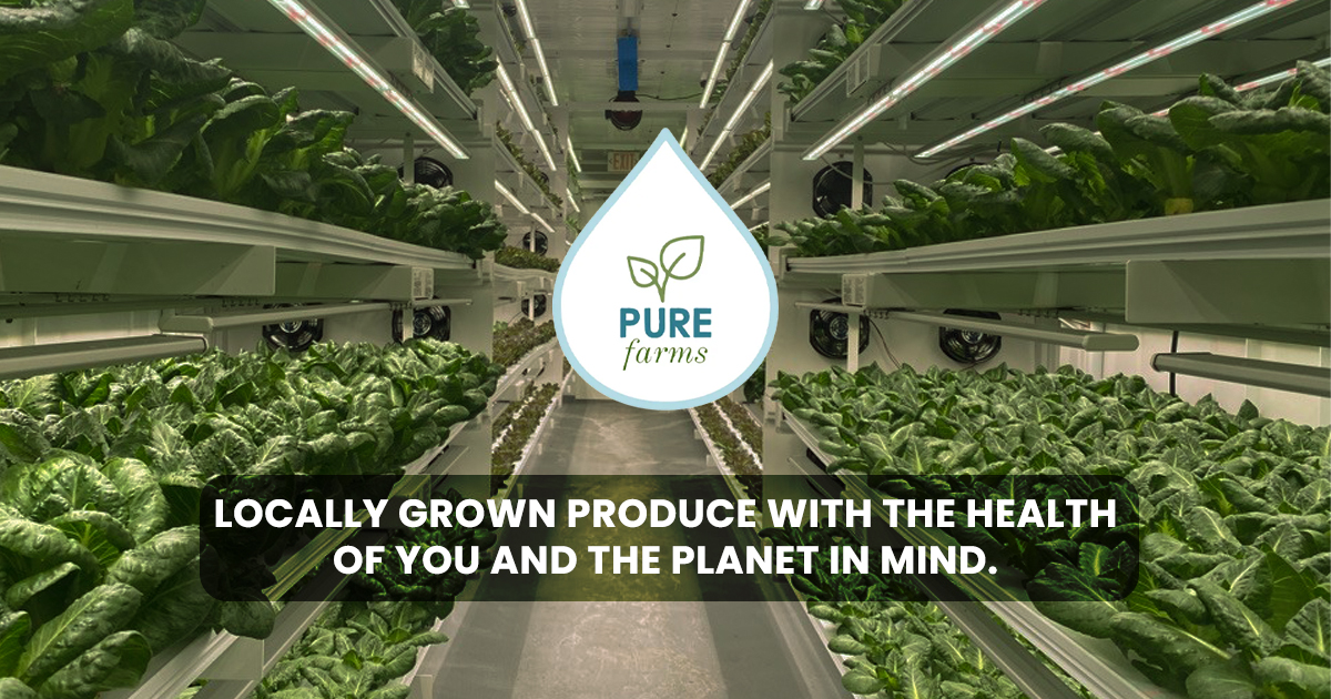 Pure Farms