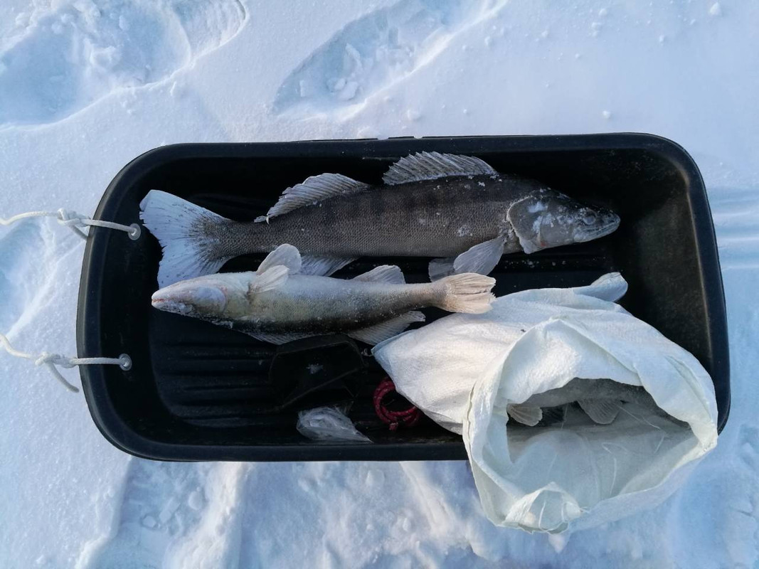 image 0 02 08 bb680ab5ad6c37f72df0437c8495b15950e1d65672bed055b1 ...