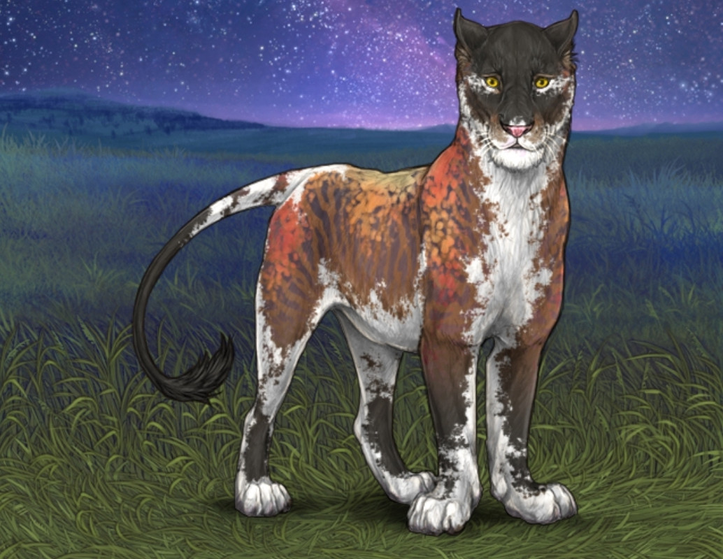 Screenshot 20221018 161930 Samsung Internet — Postimages